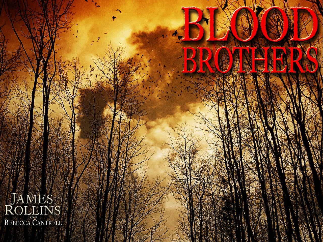 2013_wallpaper_blood_brothers_1280x960 - James Rollins